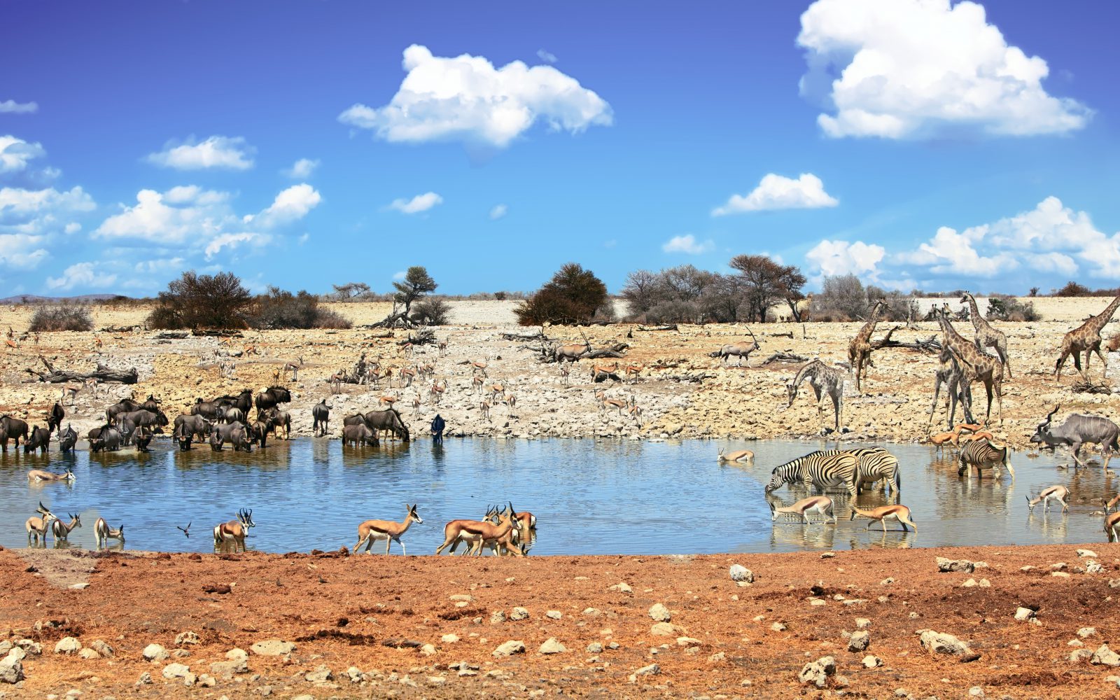 Rundreise Namibia - Land und Kultur erleben mit viamonda